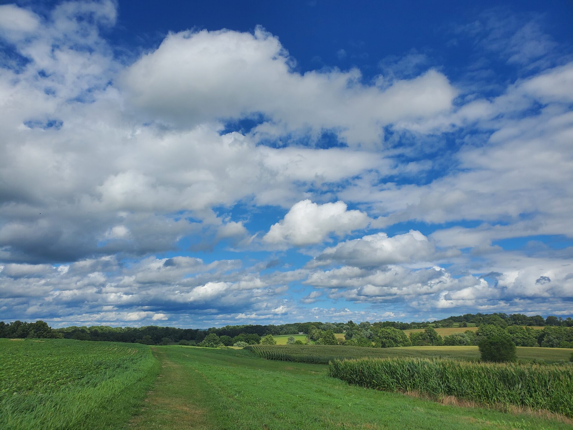 ChesLen Preserve | Natural Lands
