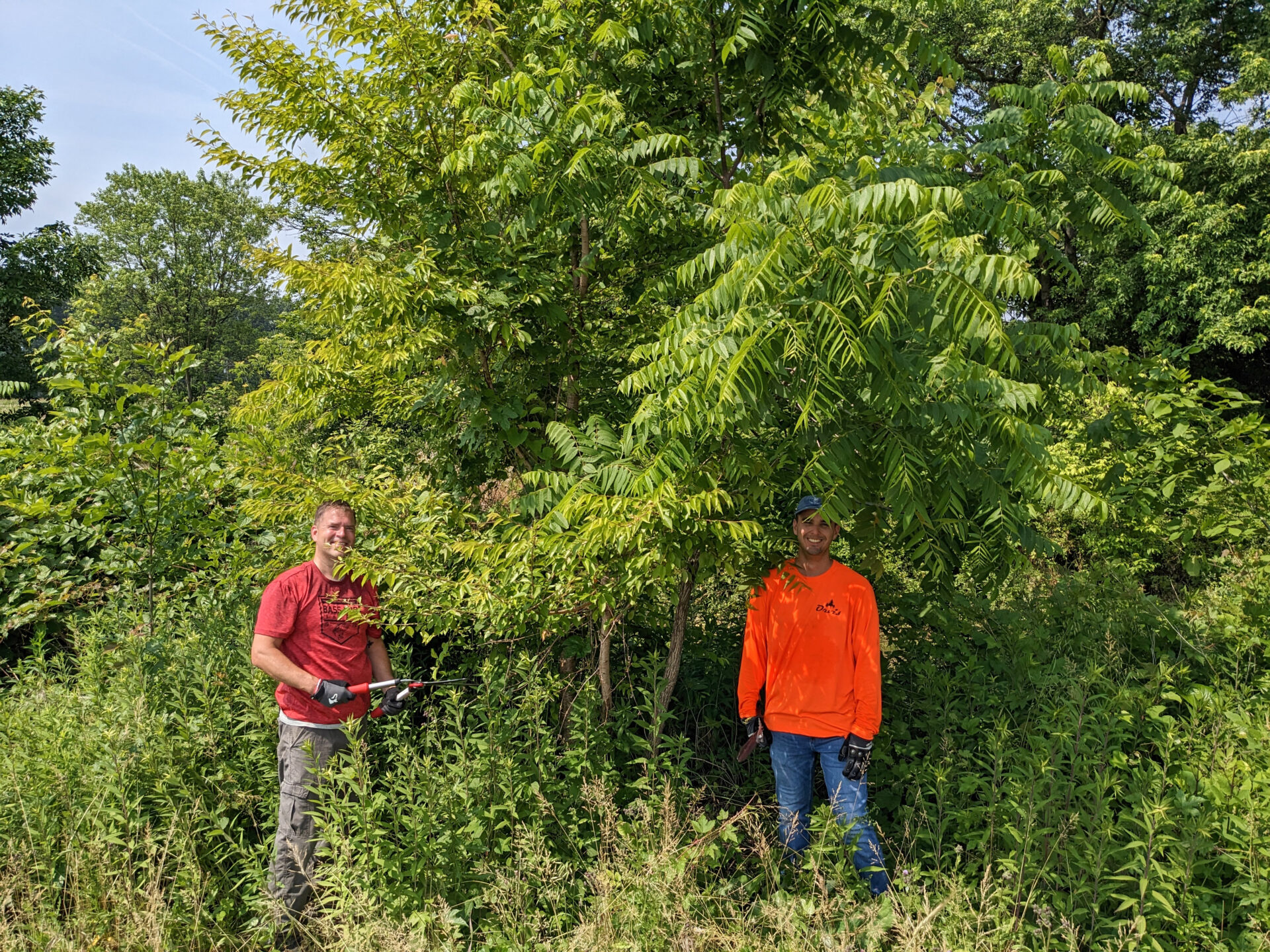 How does Natural Lands care for its preserves?