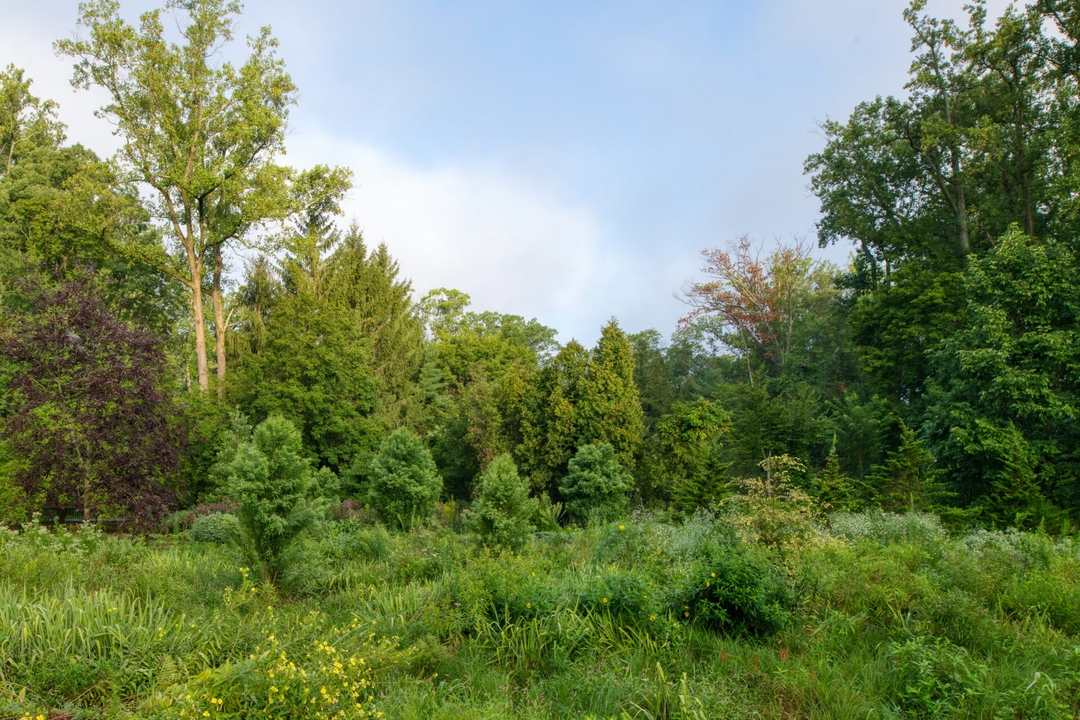 How does Natural Lands care for its preserves?
