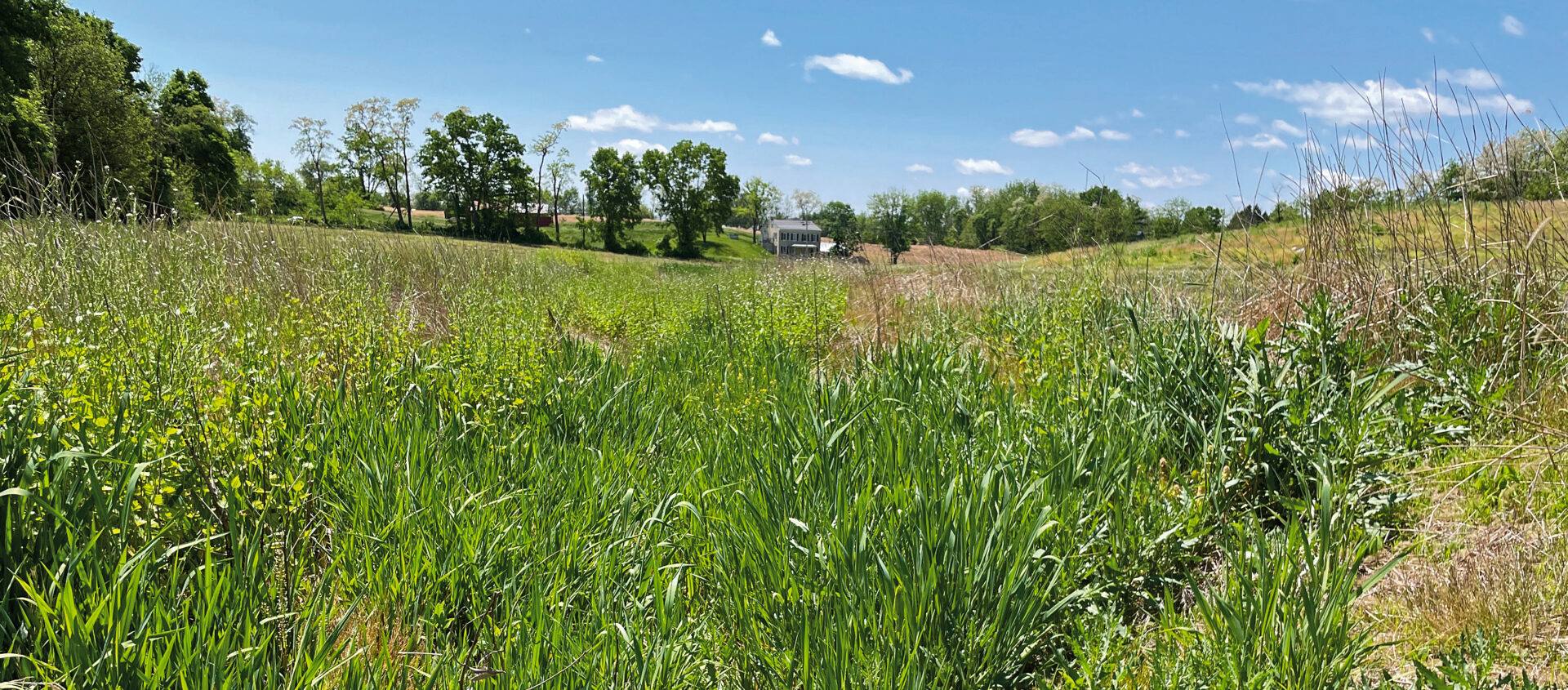 I have a conservation easement and want to learn more